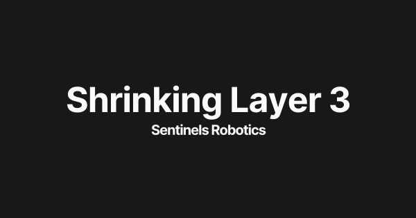 Shrinking Layer 3 | Sentinels Robotics
